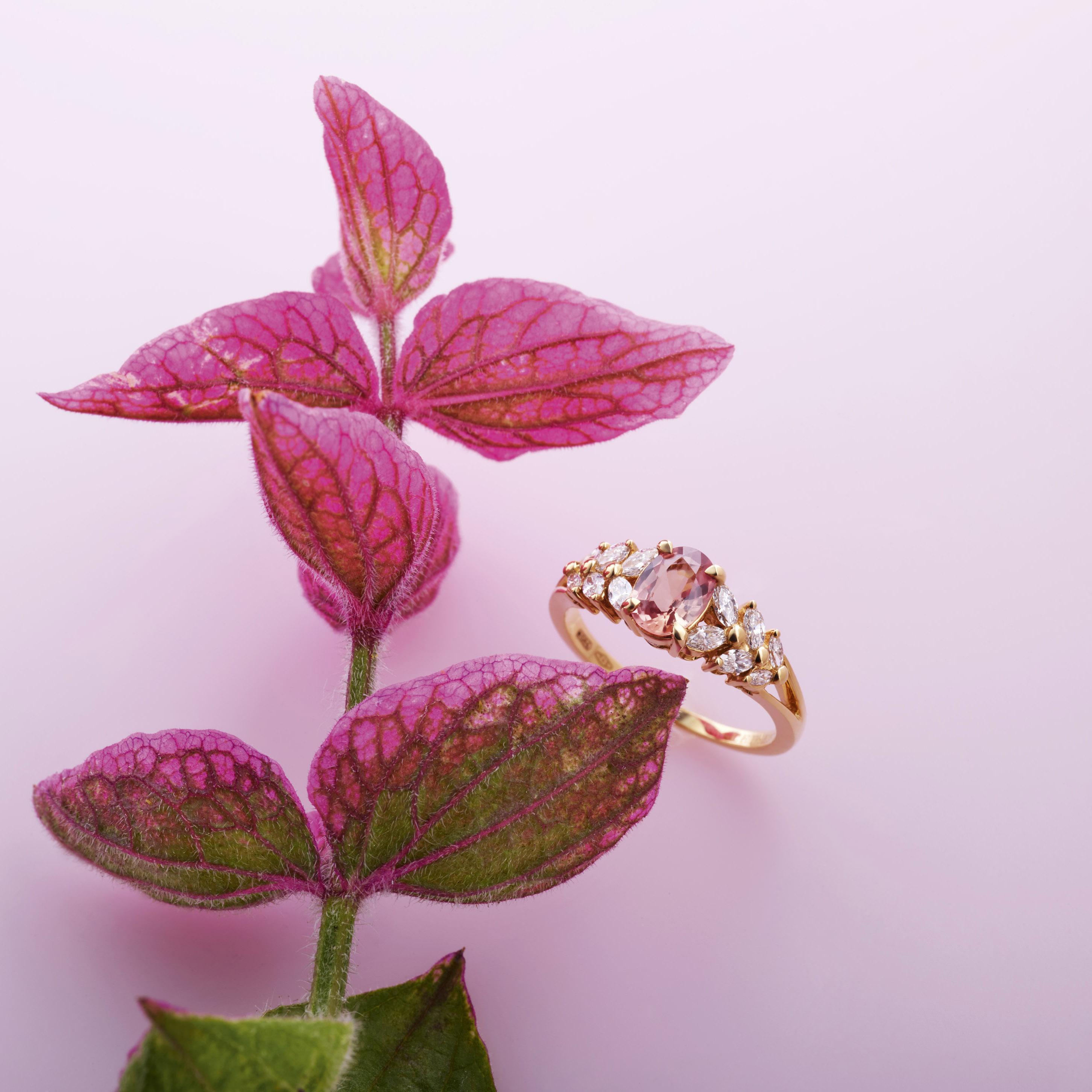 Welcome to Leysen univers. - Leysen - Joaillier since 1855